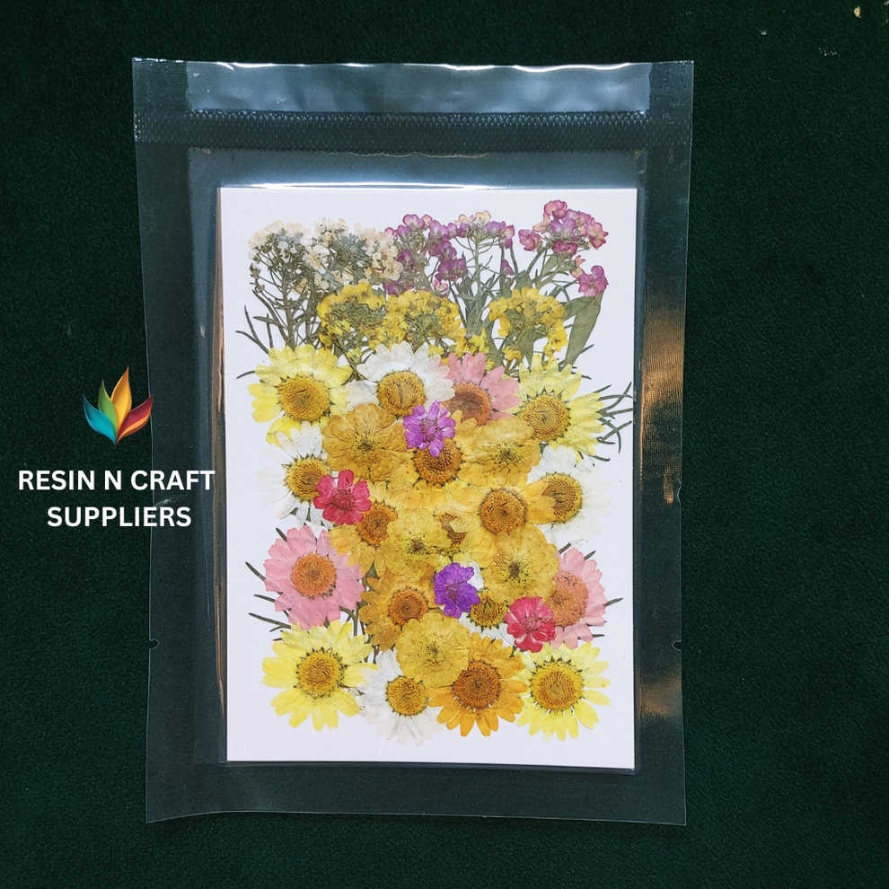 Pressed Flower Premium Sheet Design - 2 – RESIN N CRAFT SUPPLIERS
