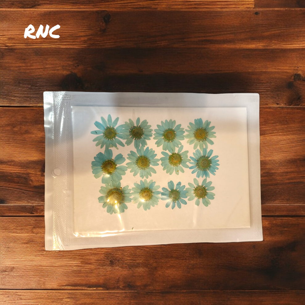 Pressed Dried Daisy Flower Sheet (Sky Blue) – RESIN N CRAFT SUPPLIERS
