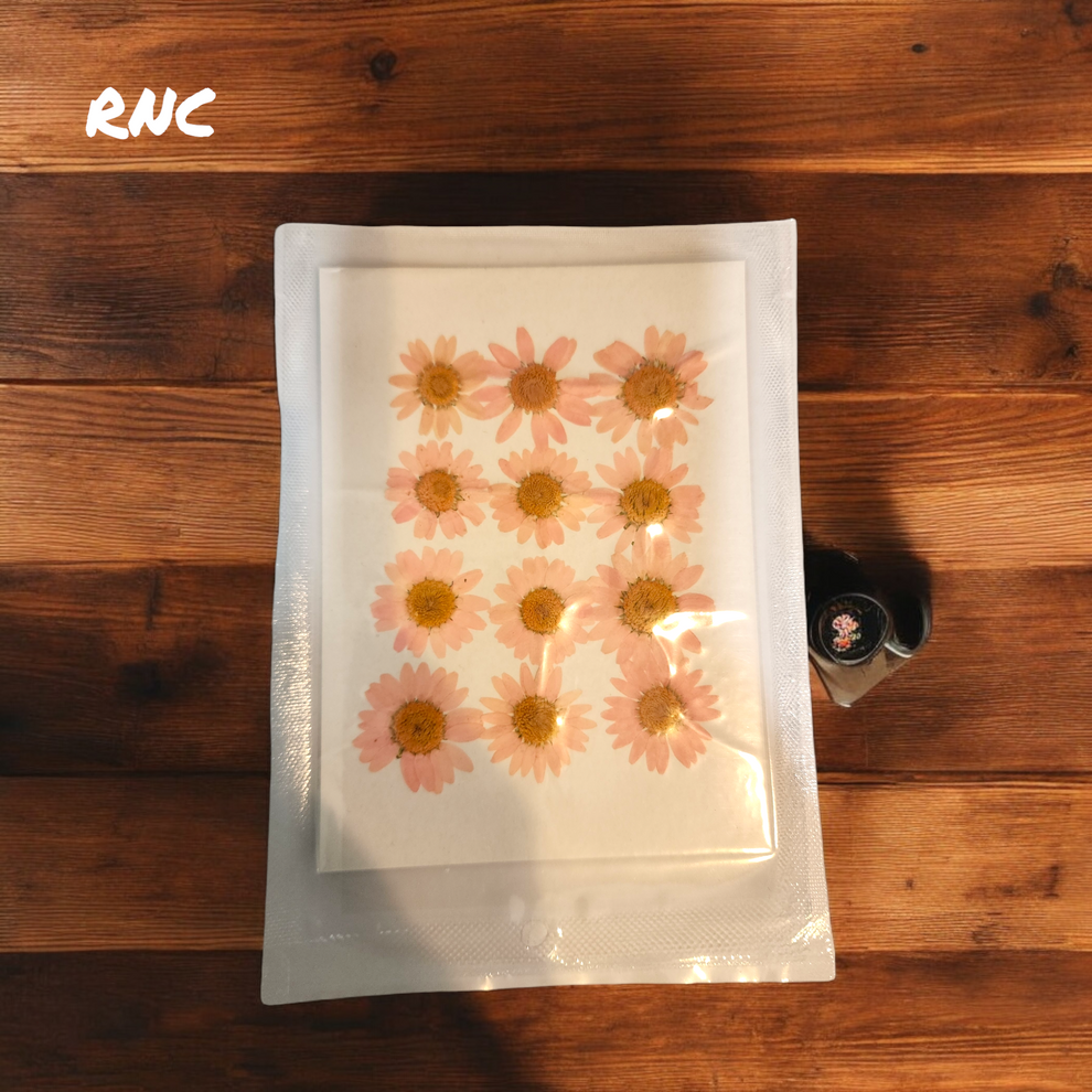Pressed Dried Daisy Flower Sheet (Pastel Pink ) – RESIN N CRAFT SUPPLIERS
